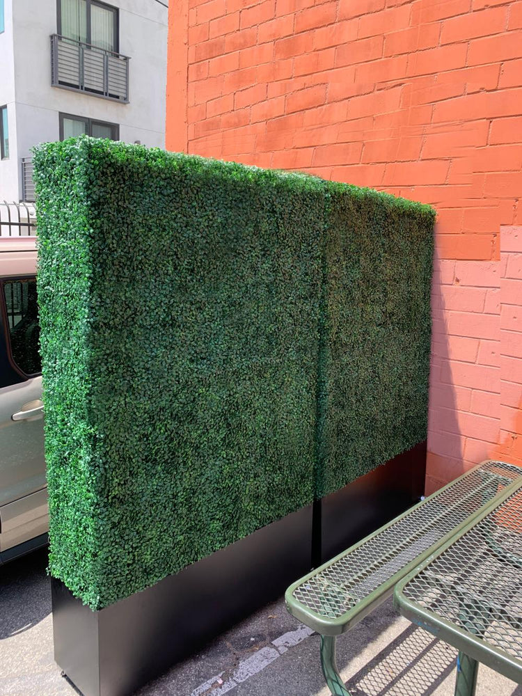 Artigwall Hedge Wall - Boxwood Hedge in Planter box Generation 3
